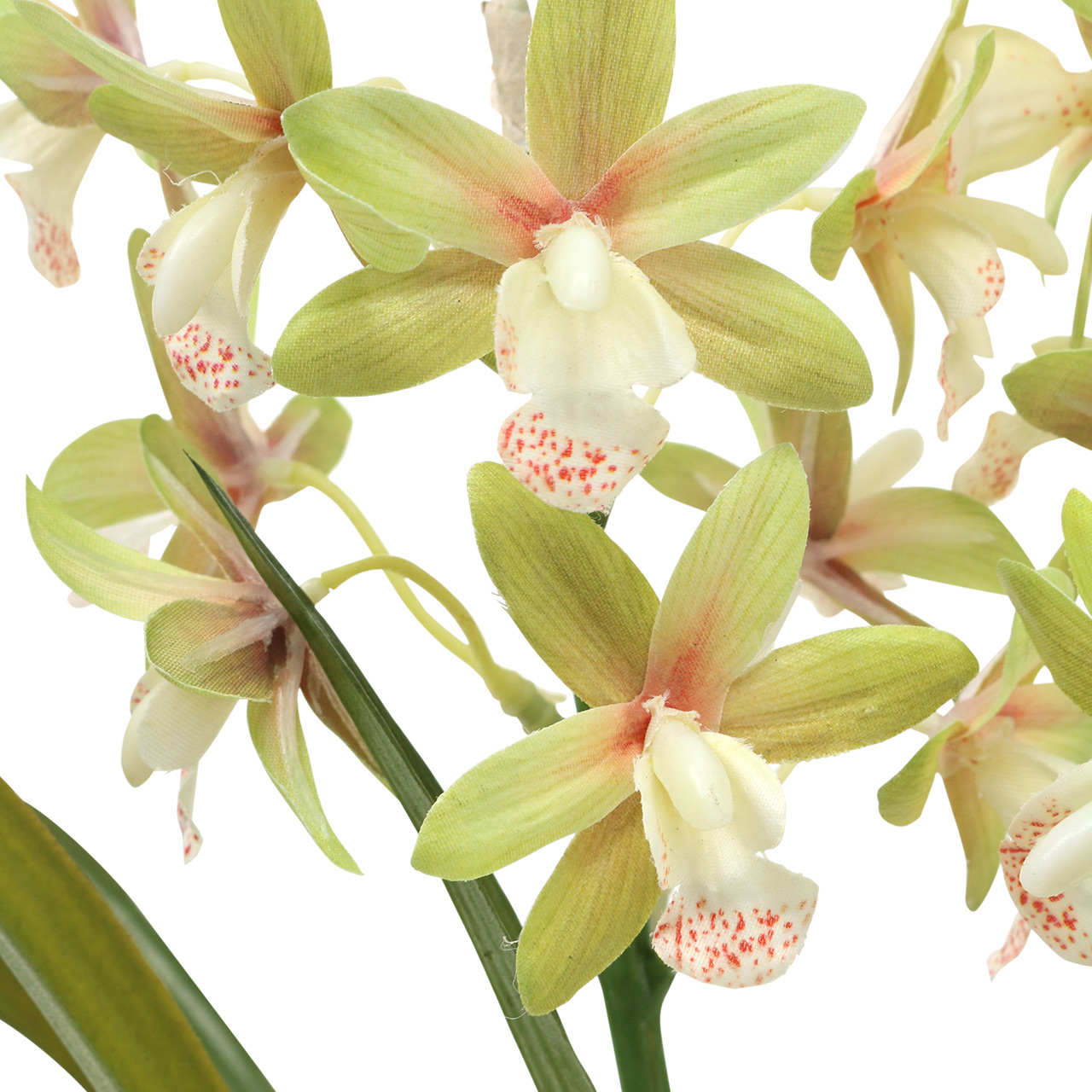 Floristik24.it Orchidea Cymbidium Verde in vaso Artificiale H46cm-65200