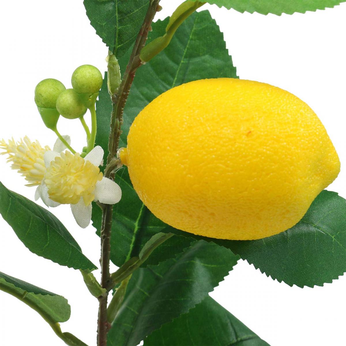 Floristik24.it Ramo decorativo limone ramo di limone artificiale 42cm ...