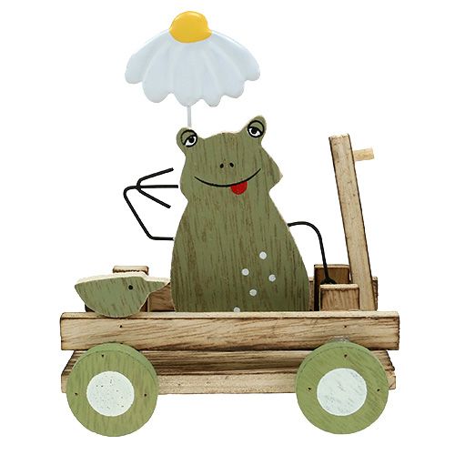 Floristik24.it Rana nel carro natura, verde 19 cm x 7 cm x 14 cm 4 ...
